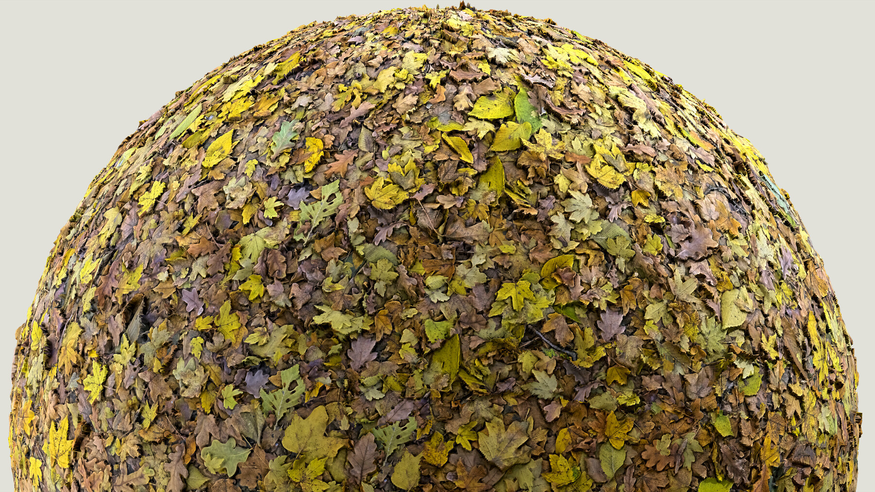 ArtStation - Fallen|Leaves 02 | Game Assets