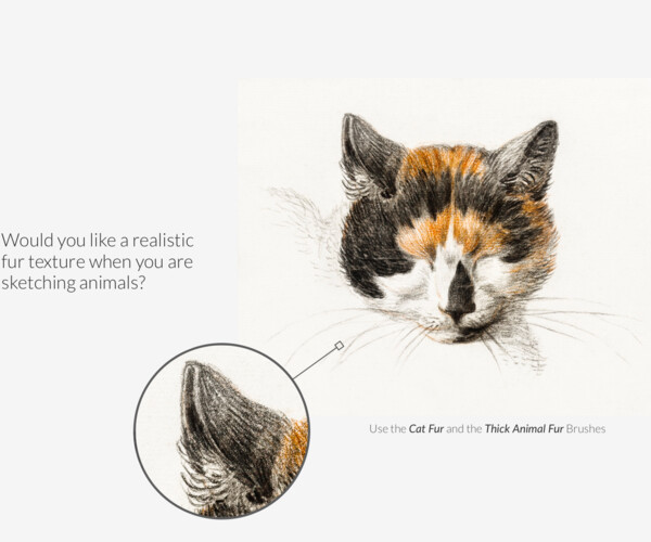 ArtStation - Animal Fur (Graphite Pencil) Procreate Kit | Brushes