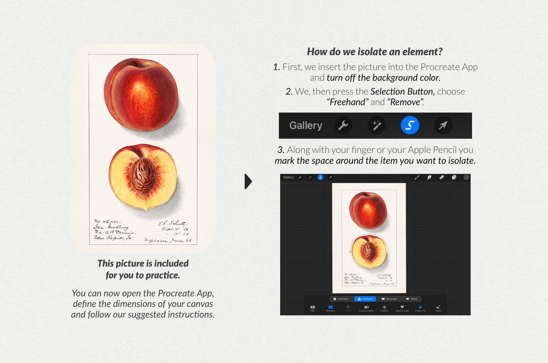 ArtStation - The Collage Erasers Procreate Kit (Ideal for Collage ...