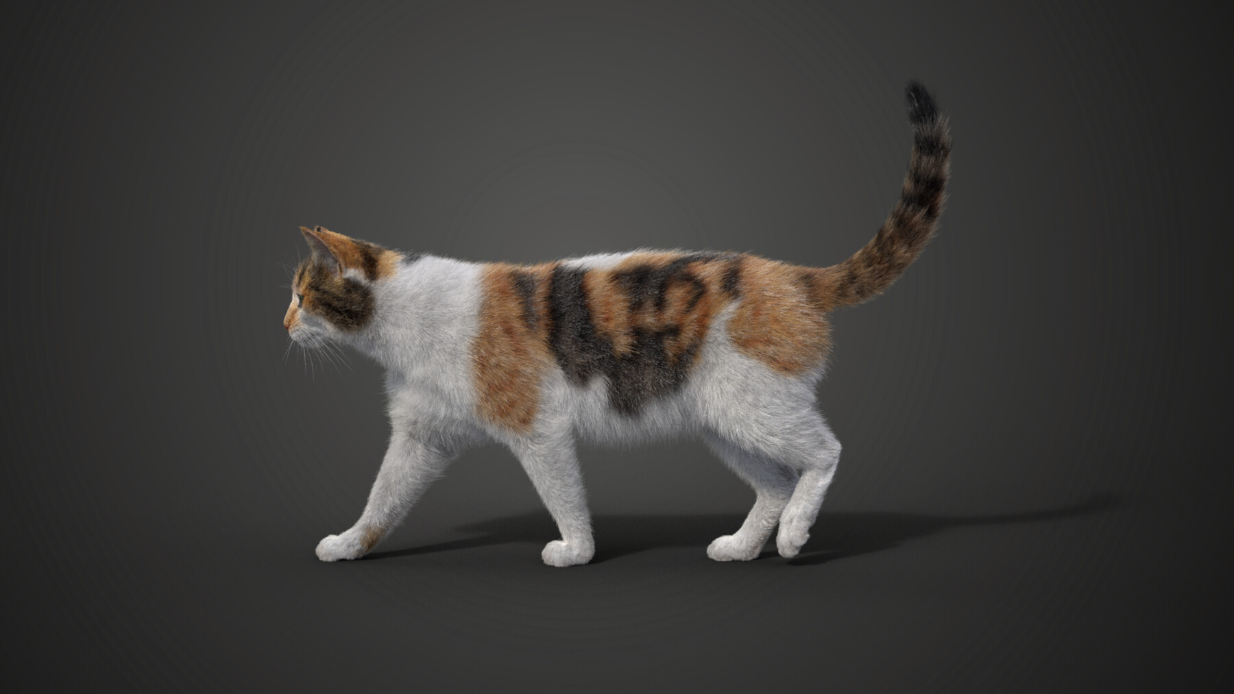 ArtStation - Calico Cat 01 Animated | VFX Grace | Game Assets