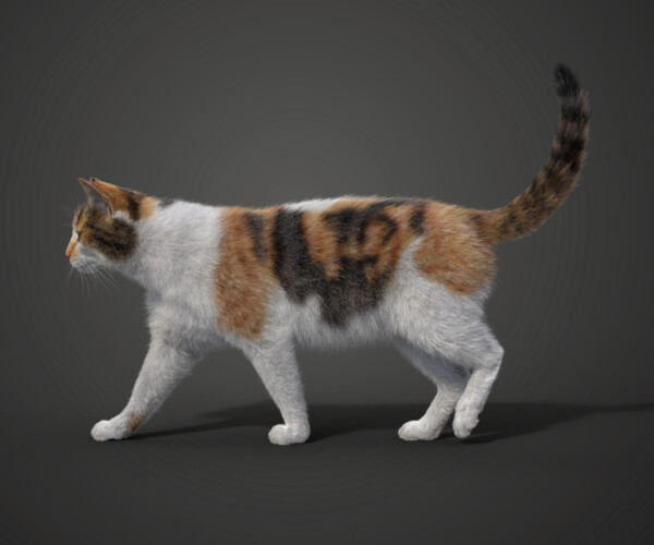 ArtStation - Calico Cat 01 Animated | VFX Grace | Game Assets
