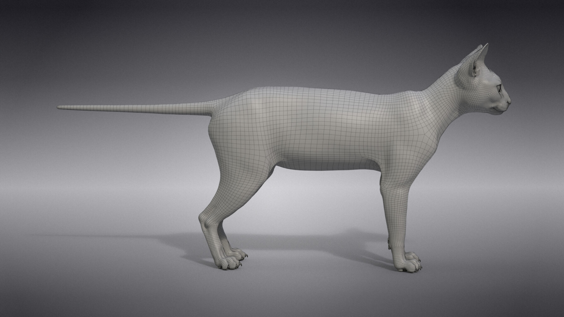 ArtStation - Calico Cat 01 Animated | VFX Grace | Game Assets