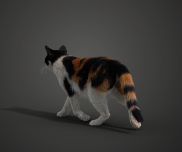 ArtStation - Calico Cat 02 Animated | VFX Grace | Game Assets