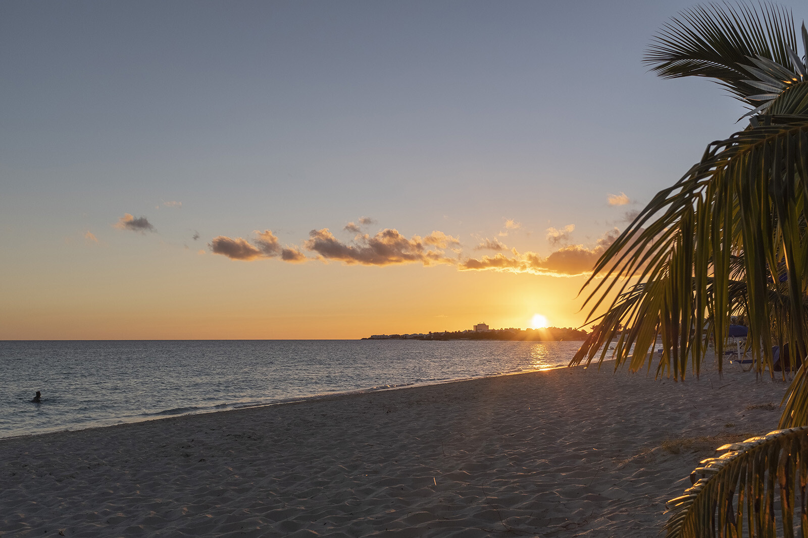 ArtStation - Tropical Island References | Resources