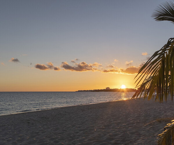 ArtStation - Tropical Island References | Resources