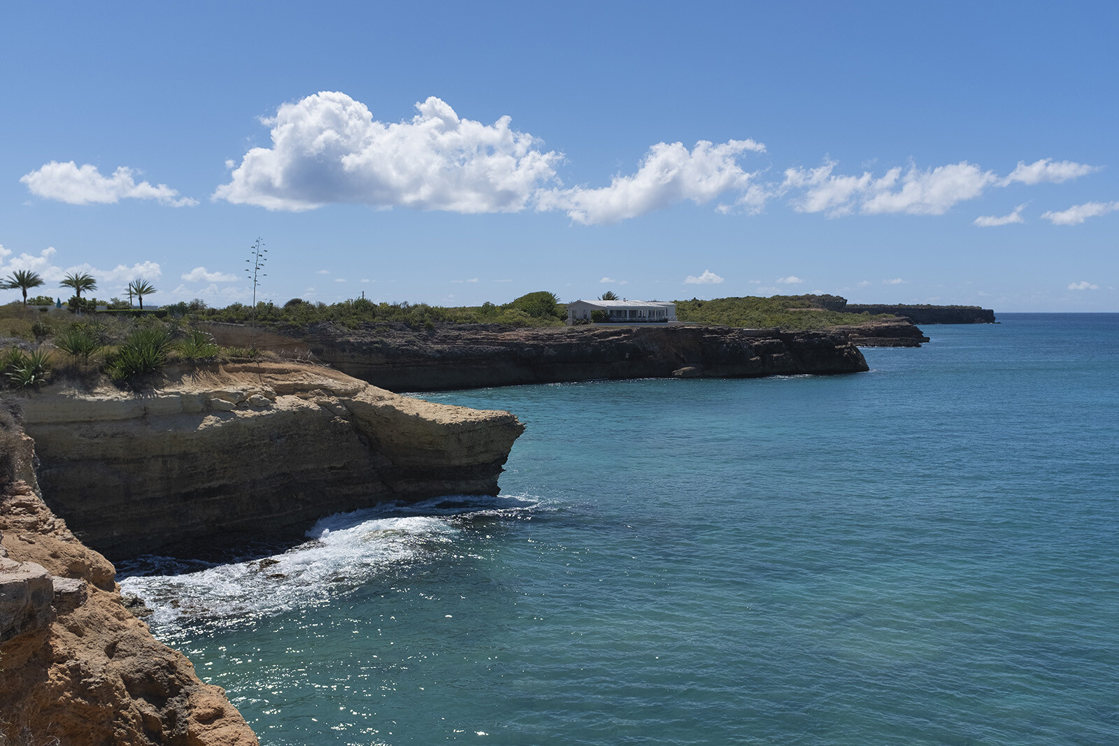 ArtStation - Tropical Island References | Resources