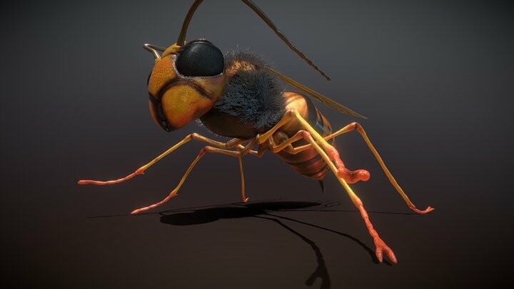 ArtStation - Wasp | Game Assets