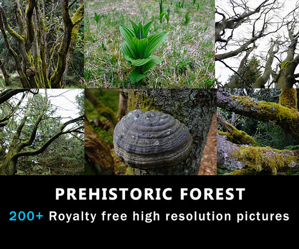 ArtStation - Prehistoric Forest Photopack | Resources
