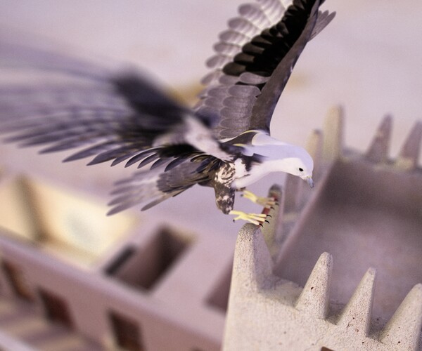 ArtStation - Falcon animated flying in desert Traditional old heritage ...