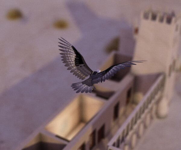 ArtStation - Falcon animated flying in desert Traditional old heritage ...