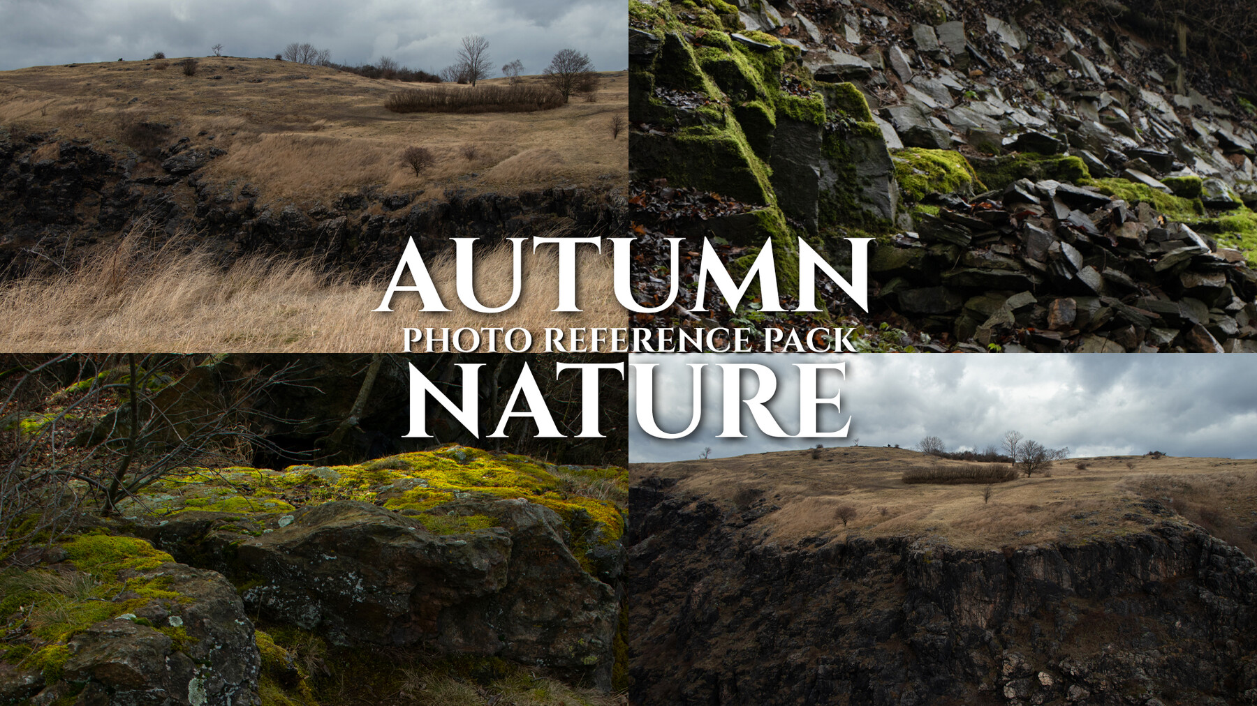 ArtStation - Autumn Nature - Photo Reference Pack 193 JPEGs noAI ...
