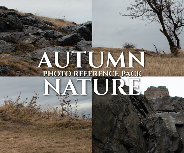 ArtStation - Autumn Nature - Photo Reference Pack 193 JPEGs noAI ...