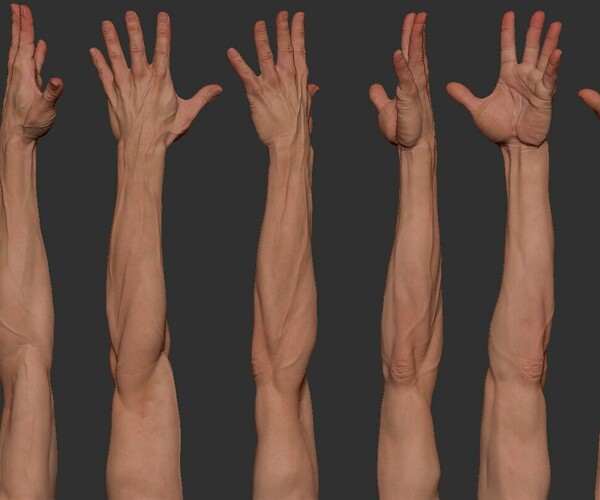 ArtStation - Neutral Hand Tutorial | Tutorials