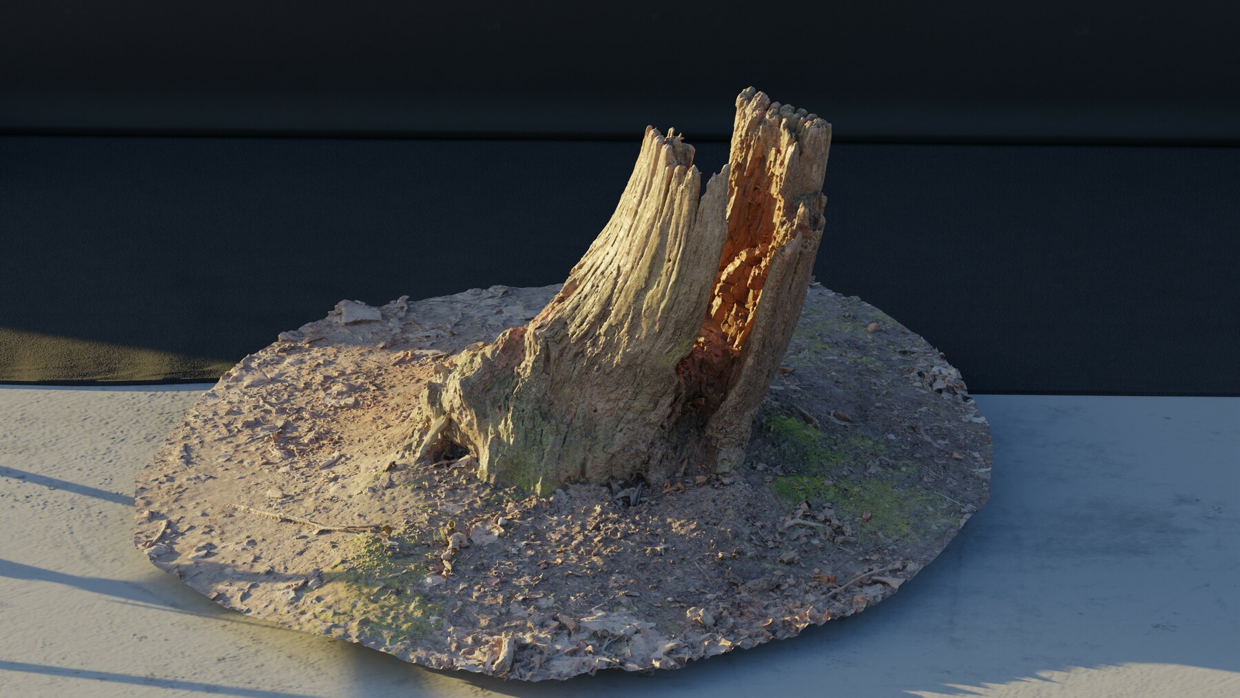 ArtStation - Split Tree Stump Photogrammetry | Game Assets