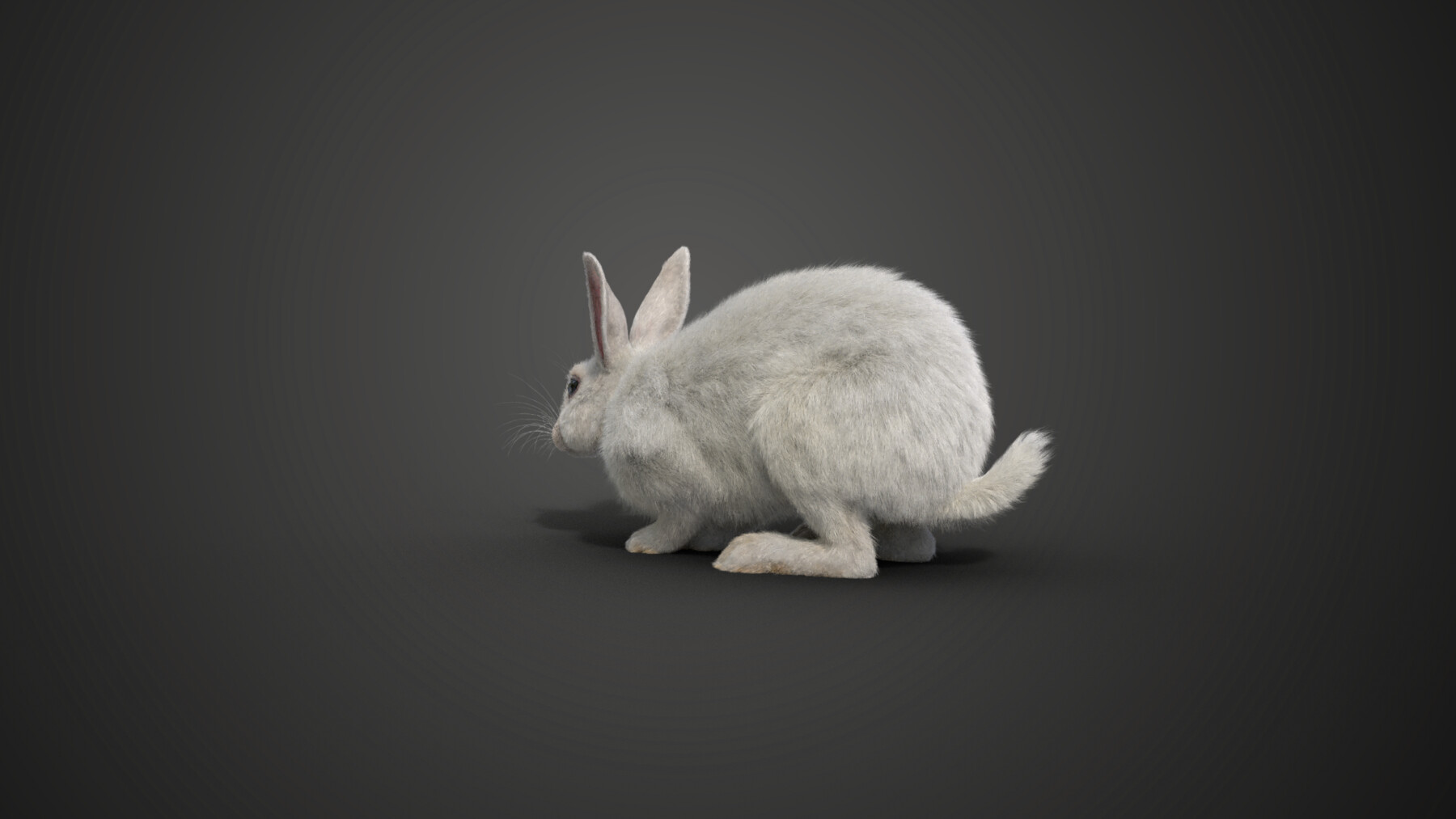 ArtStation - White rabbit Animated | VFX Grace | Game Assets