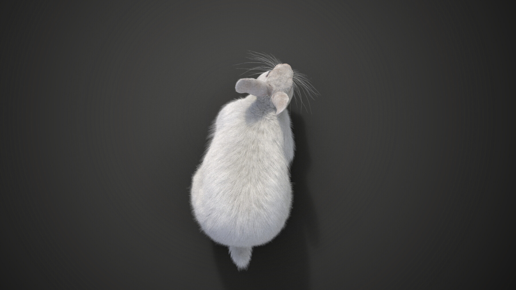 ArtStation - White rabbit Animated | VFX Grace | Game Assets