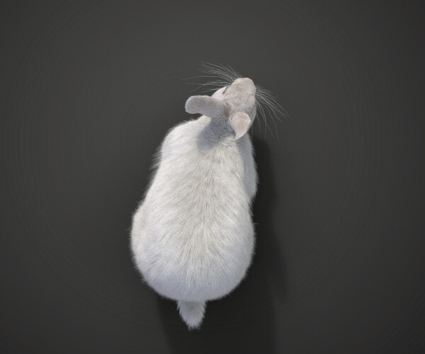 ArtStation - White rabbit Animated | VFX Grace | Game Assets
