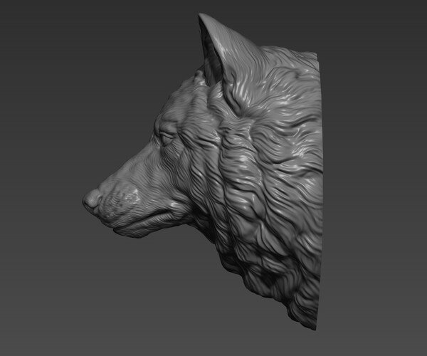 ArtStation - Wolf head without a grin | Resources