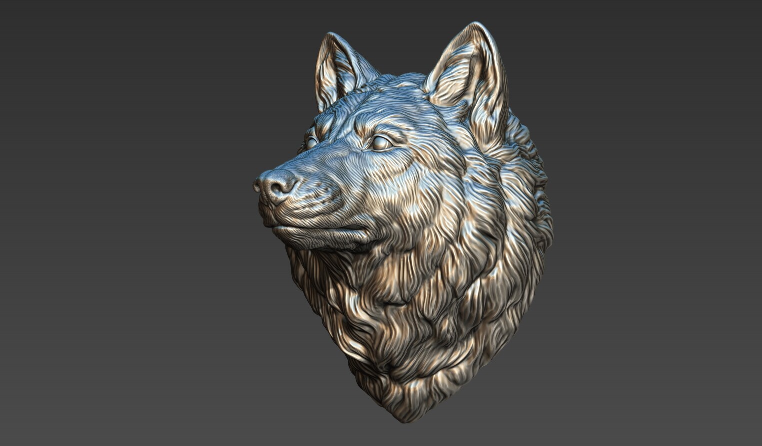ArtStation - Wolf head without a grin | Resources