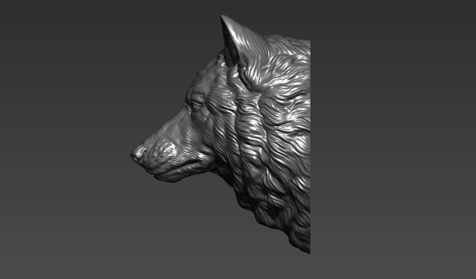 ArtStation - Wolf head without a grin | Resources