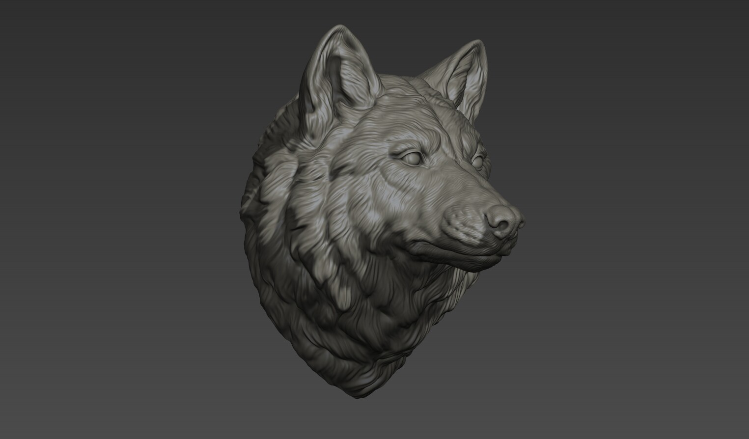 ArtStation - Wolf head without a grin | Resources