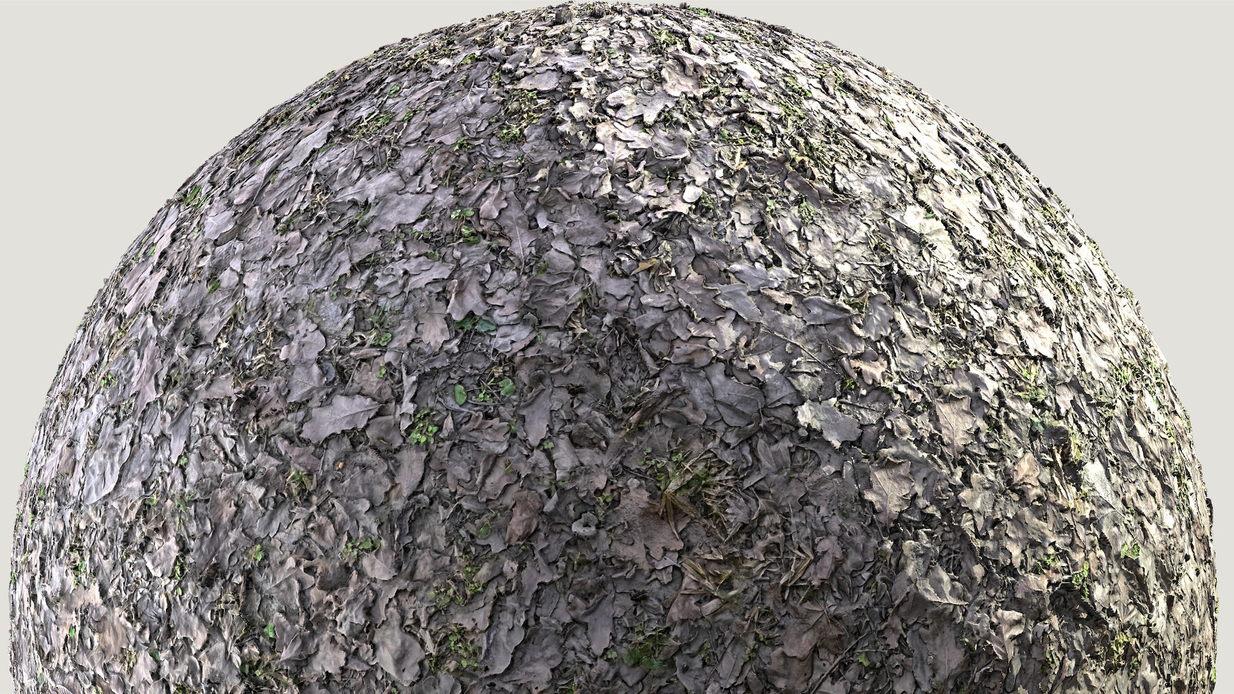 ArtStation - Fallen|Leaves 04 | Game Assets