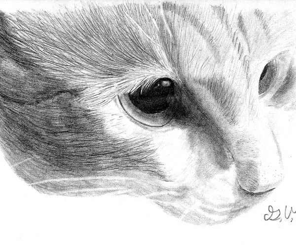 ArtStation - Fundamentals of Realistic Pencil Drawing | Tutorials