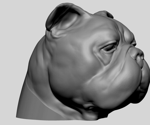 ArtStation - Dog Bust 03 | Resources