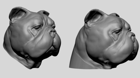 ArtStation - Dog Bust 03 | Resources