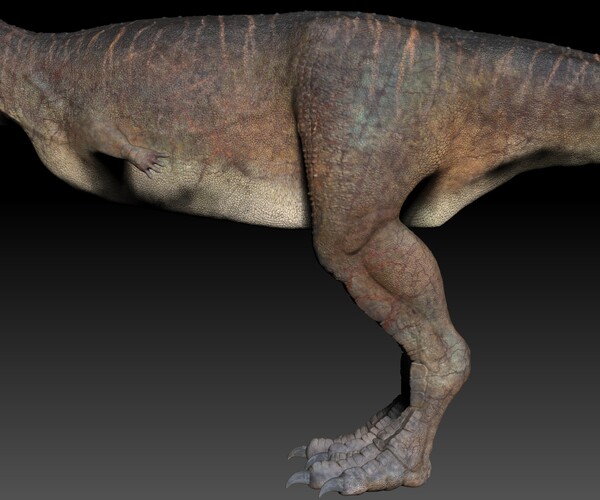 ArtStation - Carnotaurus SCULPT Project | Game Assets