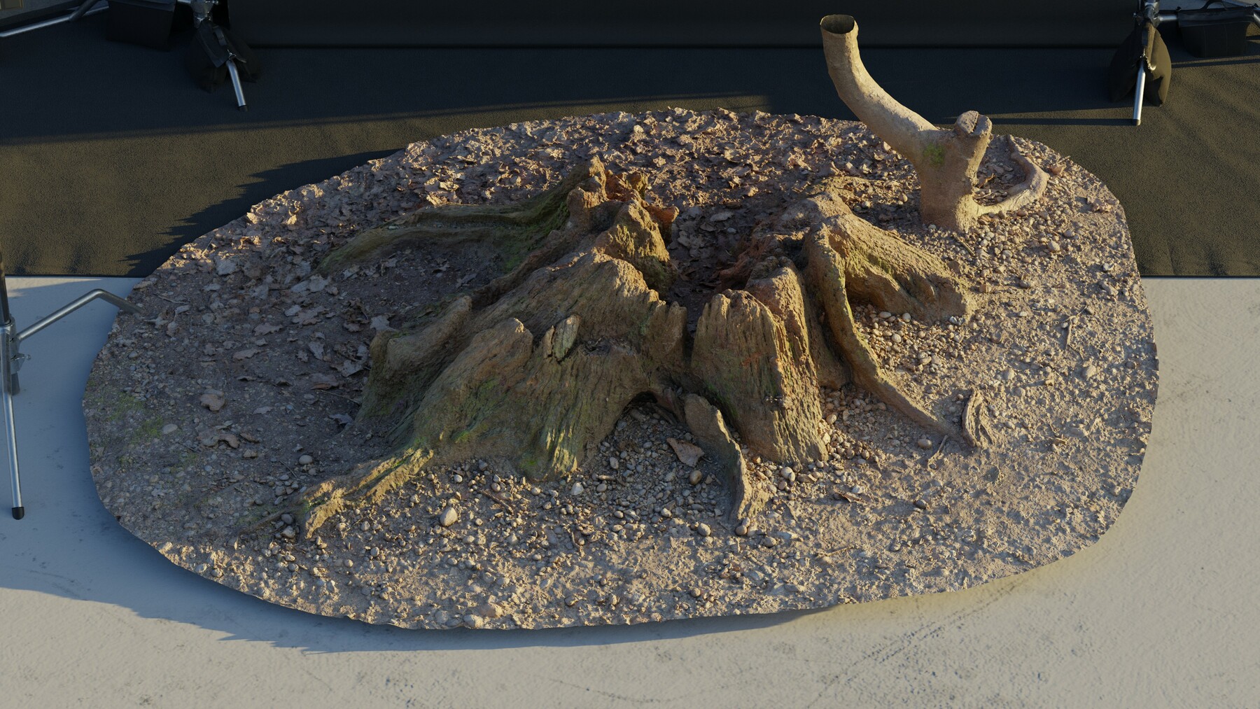 ArtStation - Tree Stump Low Photogrammetry | Game Assets