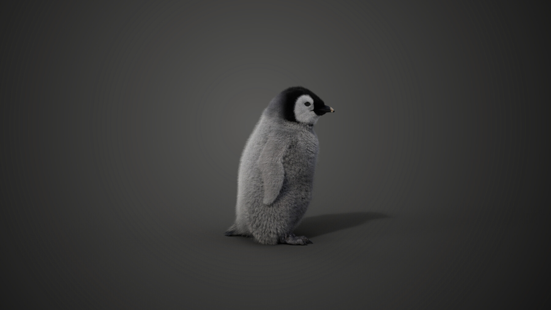 ArtStation - Baby Emperor Penguin Animated | VFX Grace | Game Assets