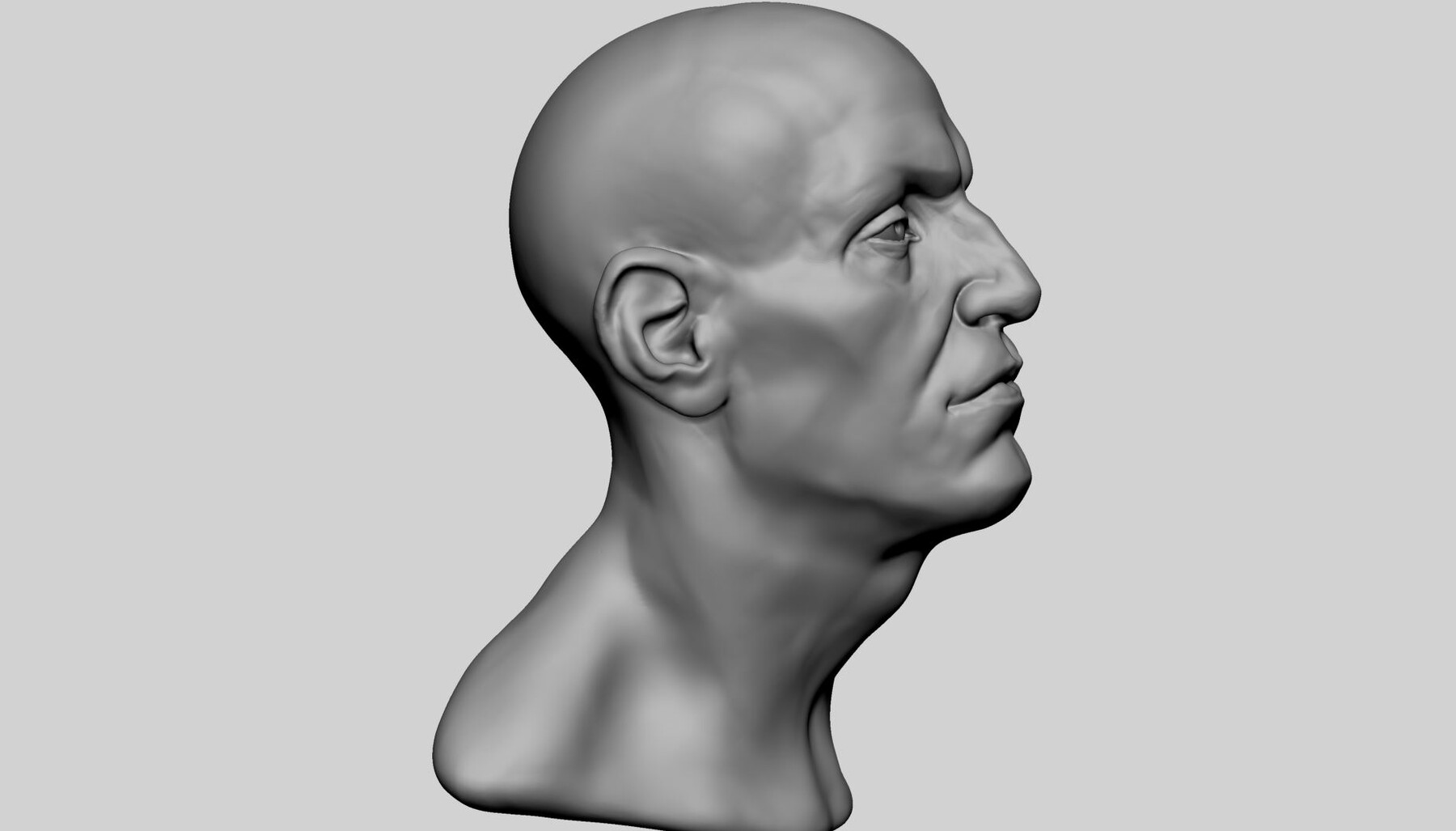 ArtStation - Male Head Anatomy | Resources