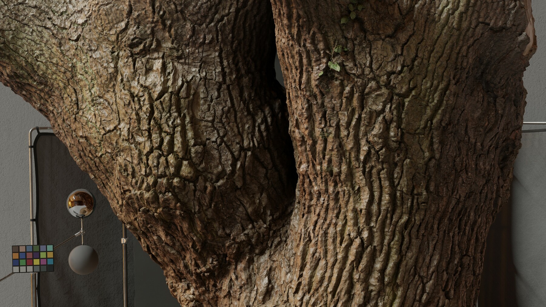 ArtStation - Oak Tree 'Owl' Photogrammetry | Game Assets