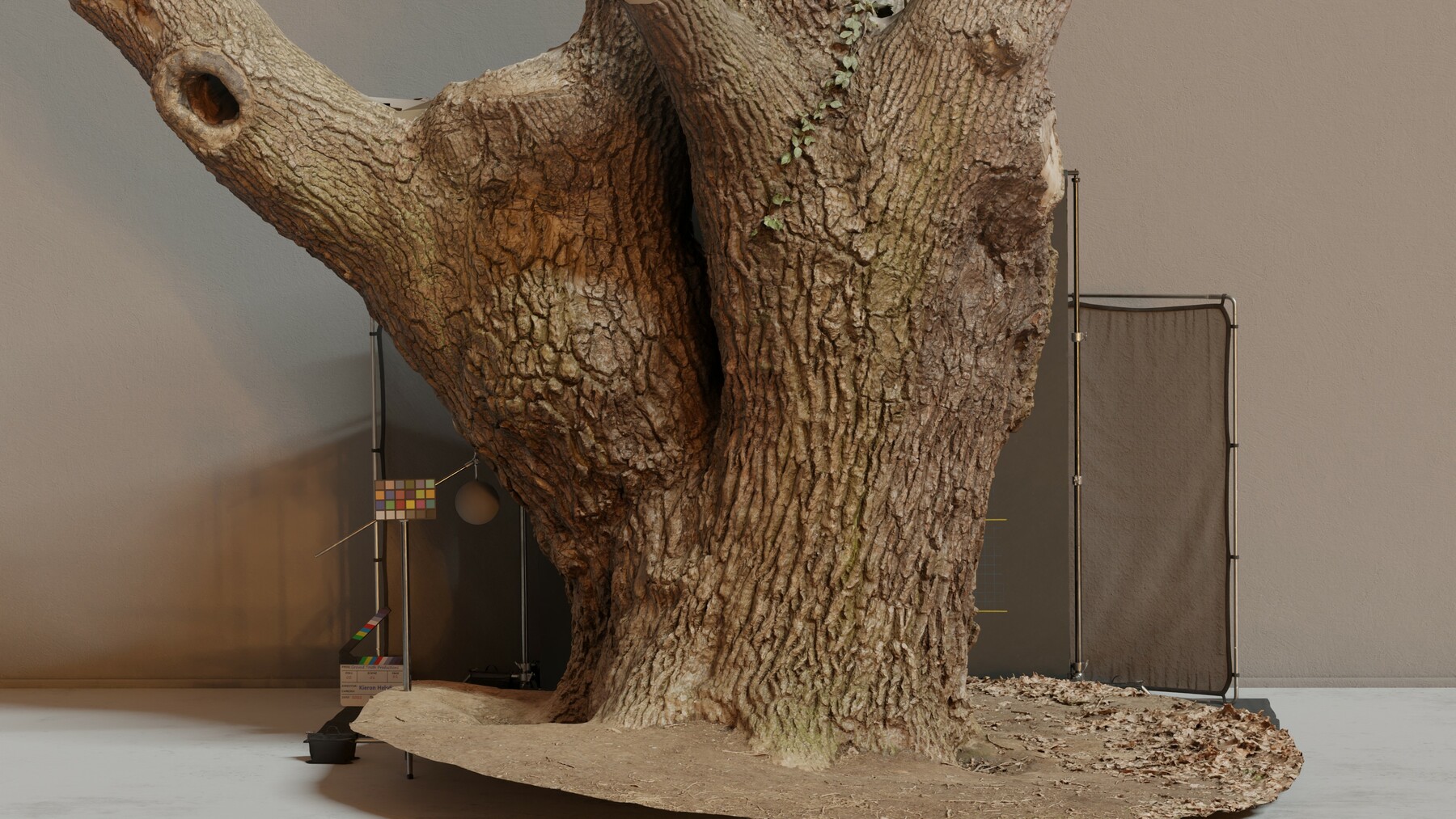 ArtStation - Oak Tree 'Owl' Photogrammetry | Game Assets