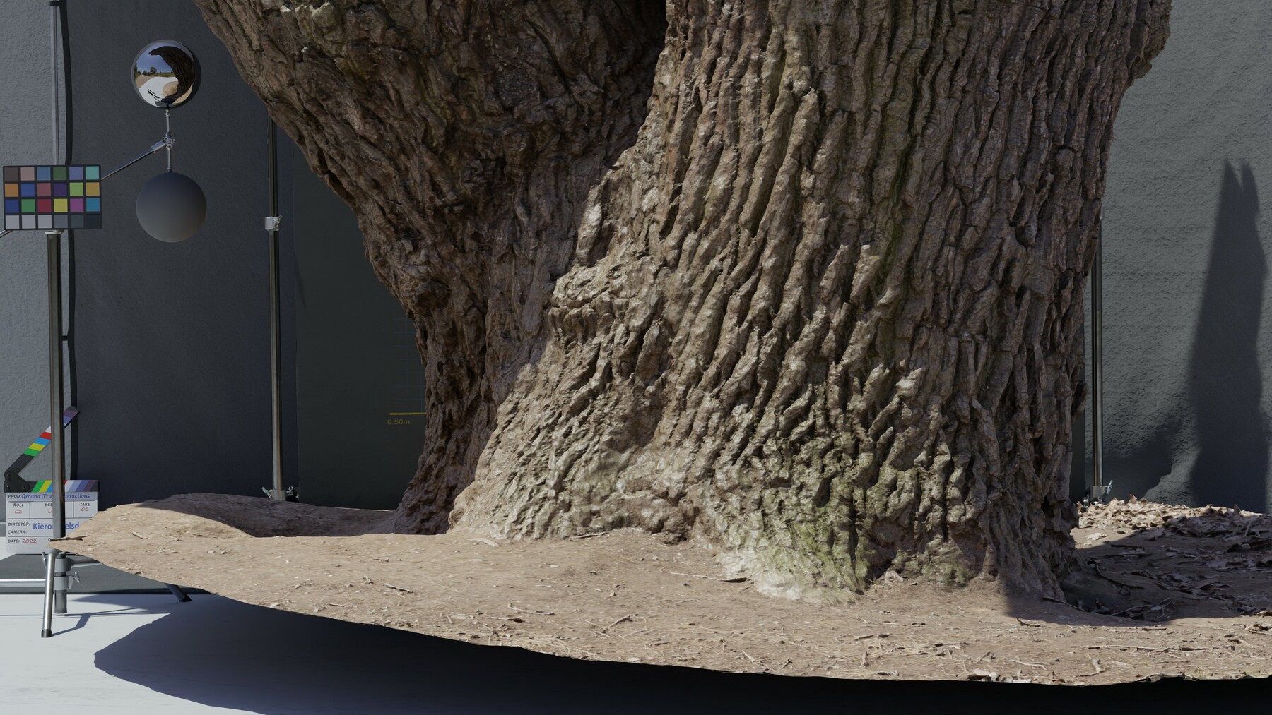 ArtStation - Oak Tree 'Owl' Photogrammetry | Game Assets