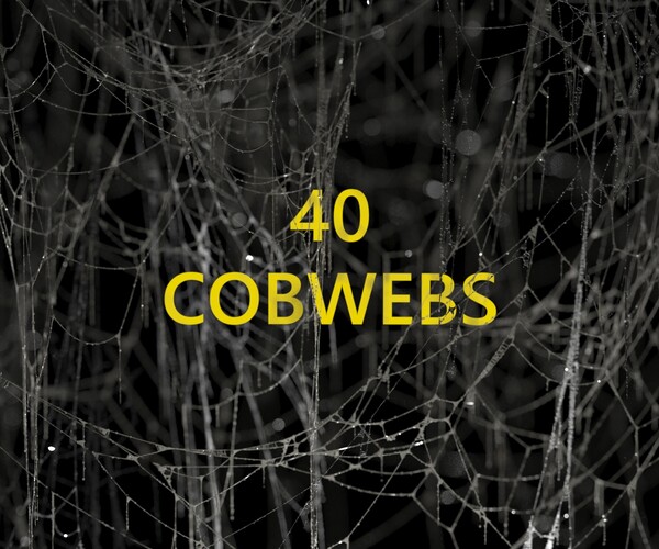 ArtStation - 40 High Detailed Cobwebs | Resources