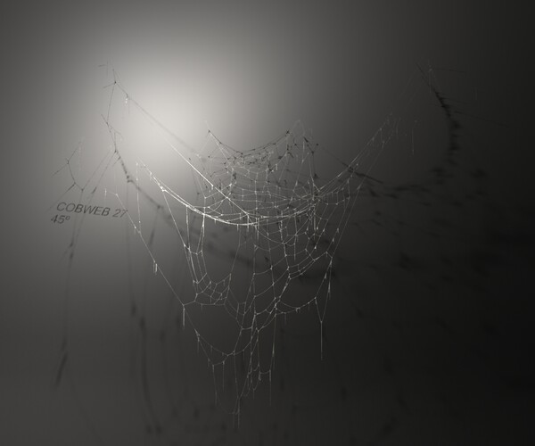 ArtStation - 40 High Detailed Cobwebs | Resources