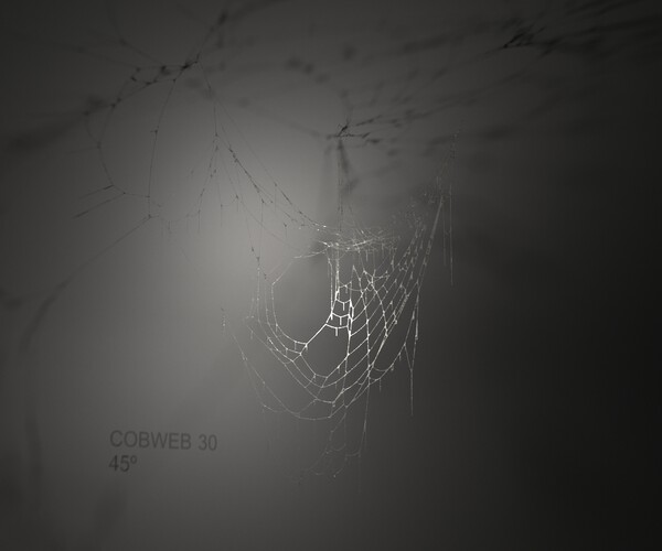 ArtStation - 40 High Detailed Cobwebs | Resources