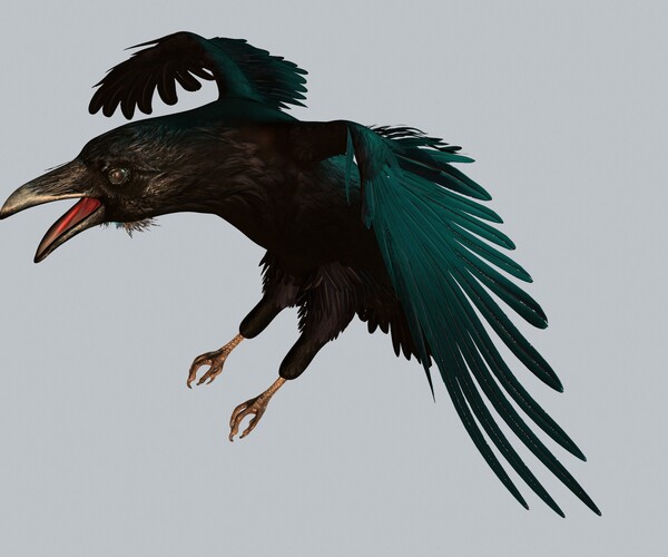 ArtStation - Raven | Game Assets