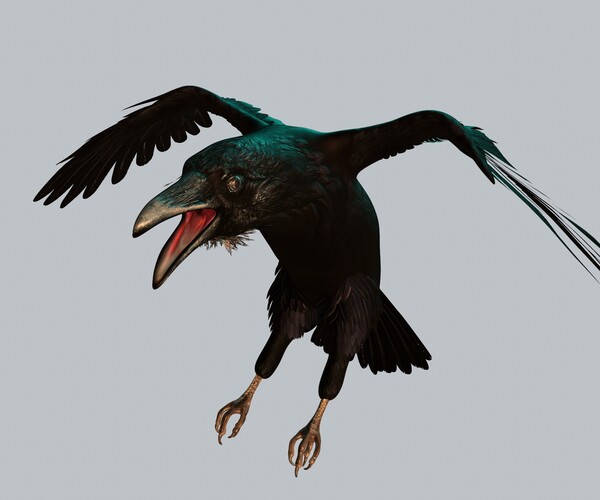 ArtStation - Raven | Game Assets