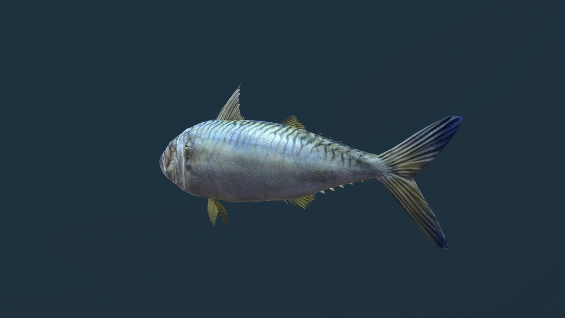 ArtStation - Mackerel Fish | Game Assets