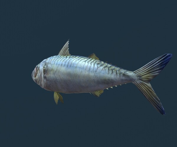 ArtStation - Mackerel Fish | Game Assets