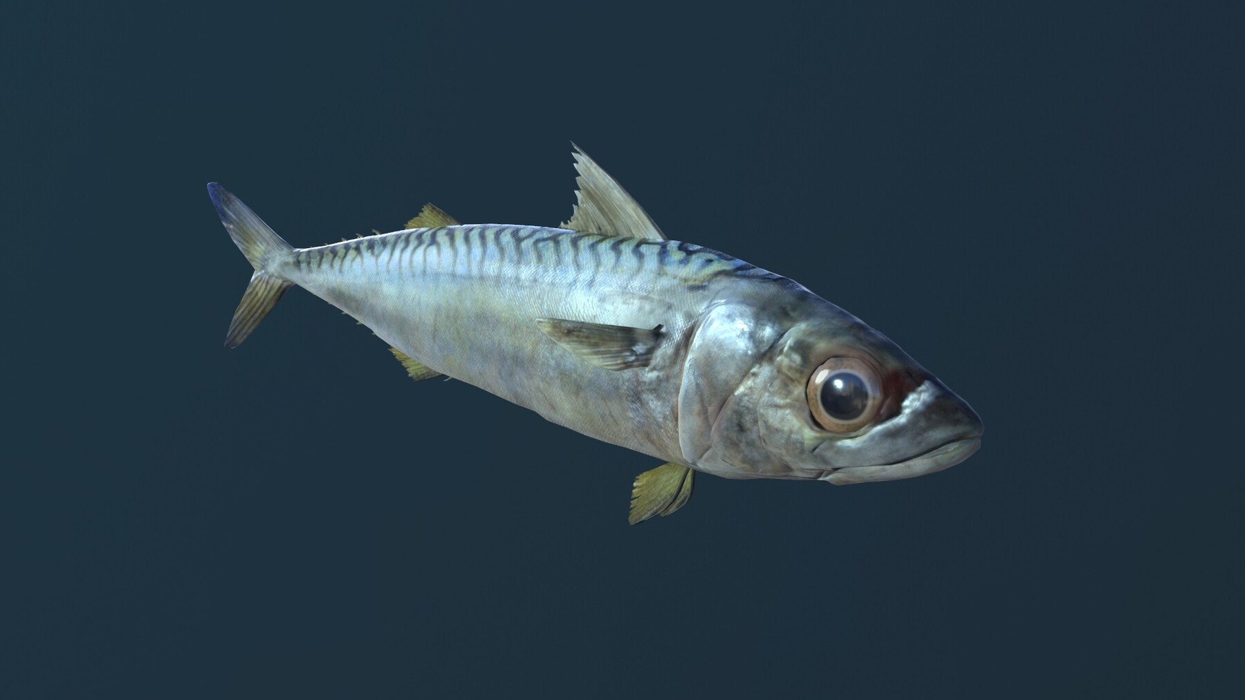 ArtStation - Mackerel Fish | Game Assets
