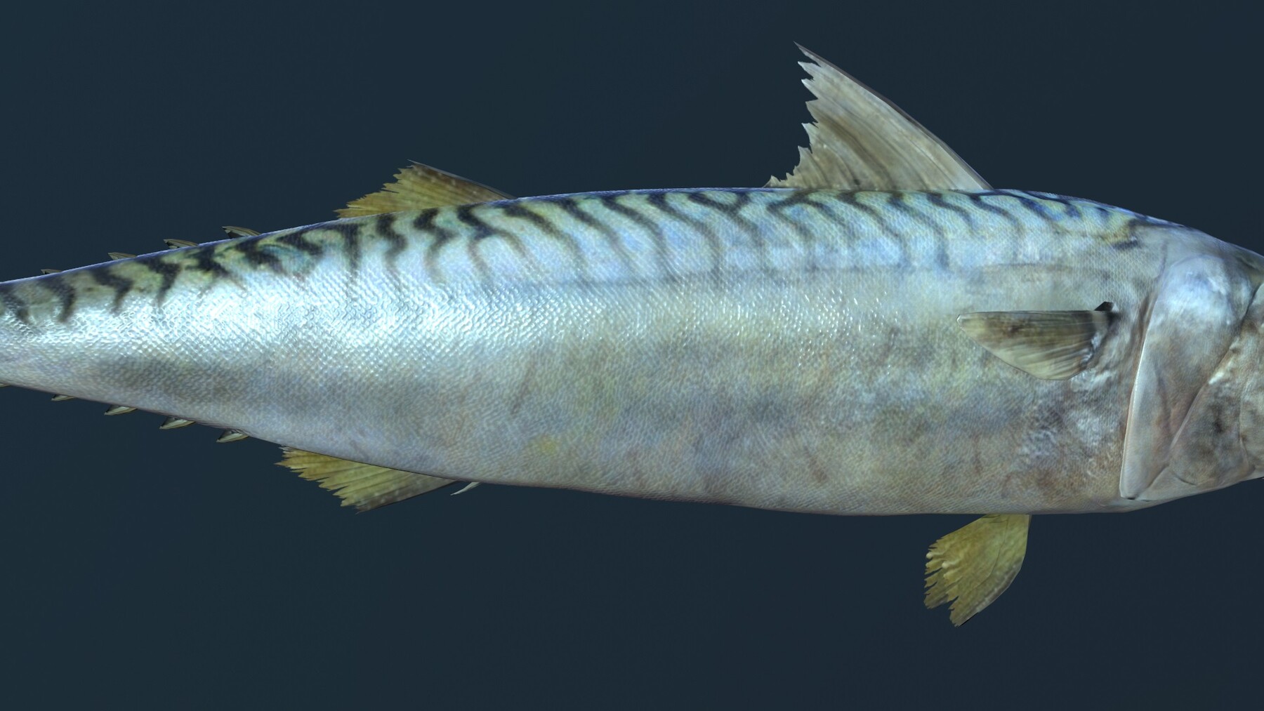 ArtStation - Mackerel Fish | Game Assets