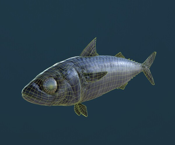 ArtStation - Mackerel Fish | Game Assets