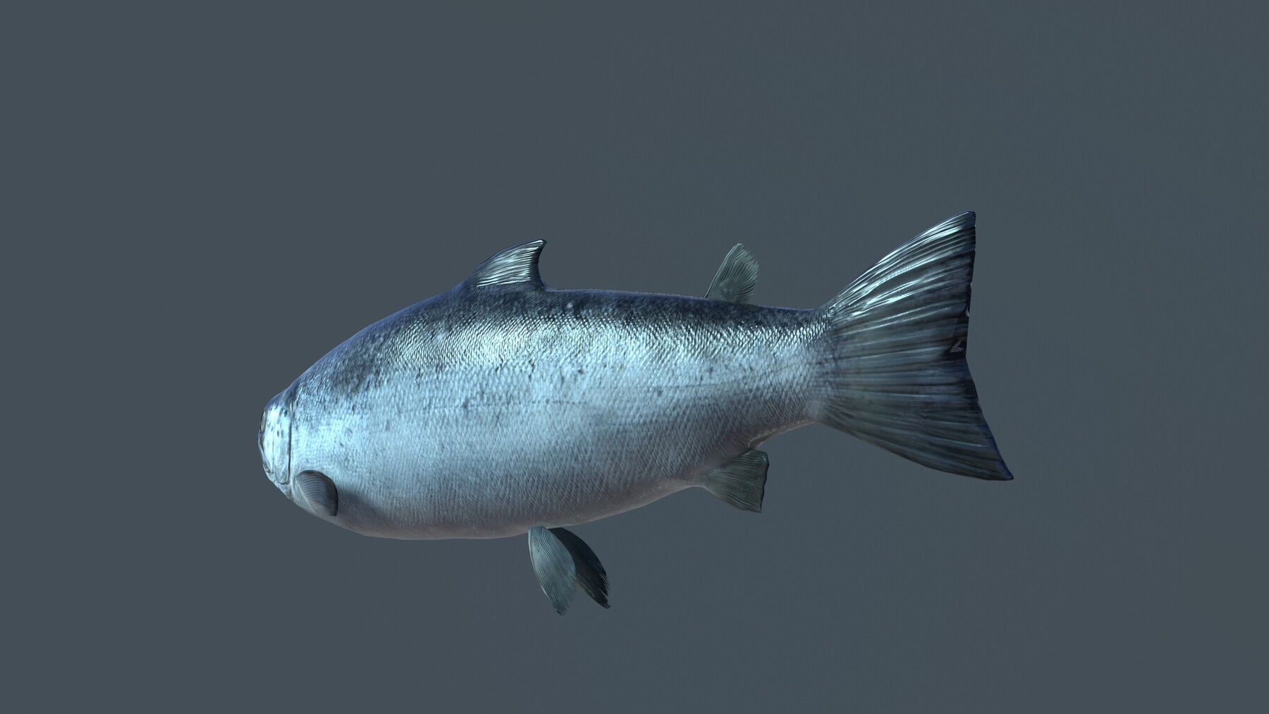 ArtStation - Salmon Fish | Game Assets