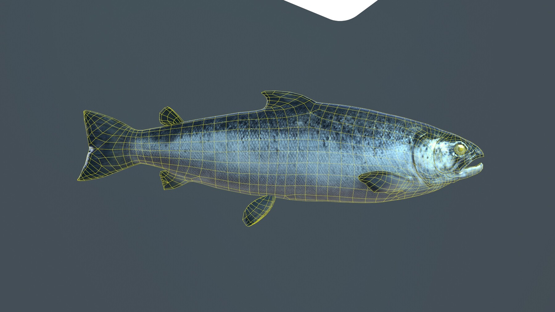 ArtStation - Salmon Fish | Game Assets