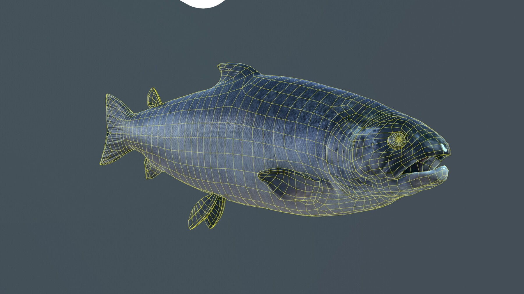 ArtStation - Salmon Fish | Game Assets