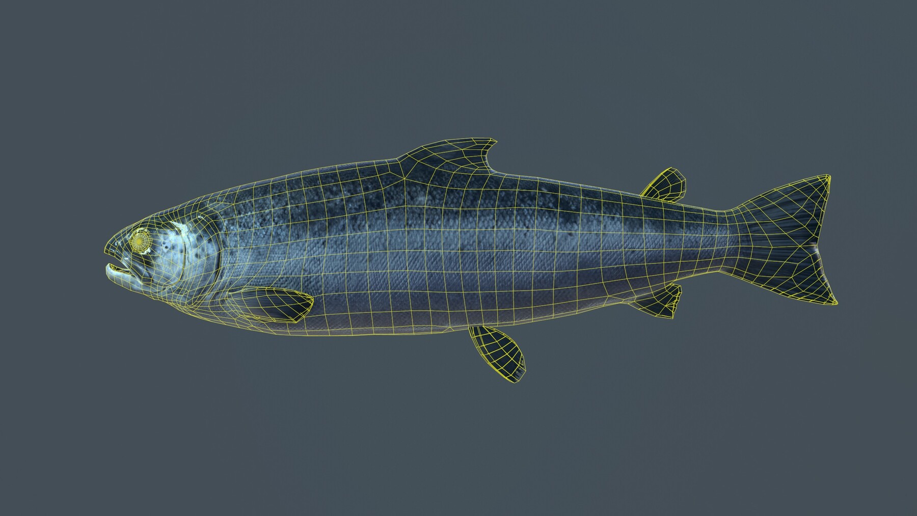 ArtStation - Salmon Fish | Game Assets